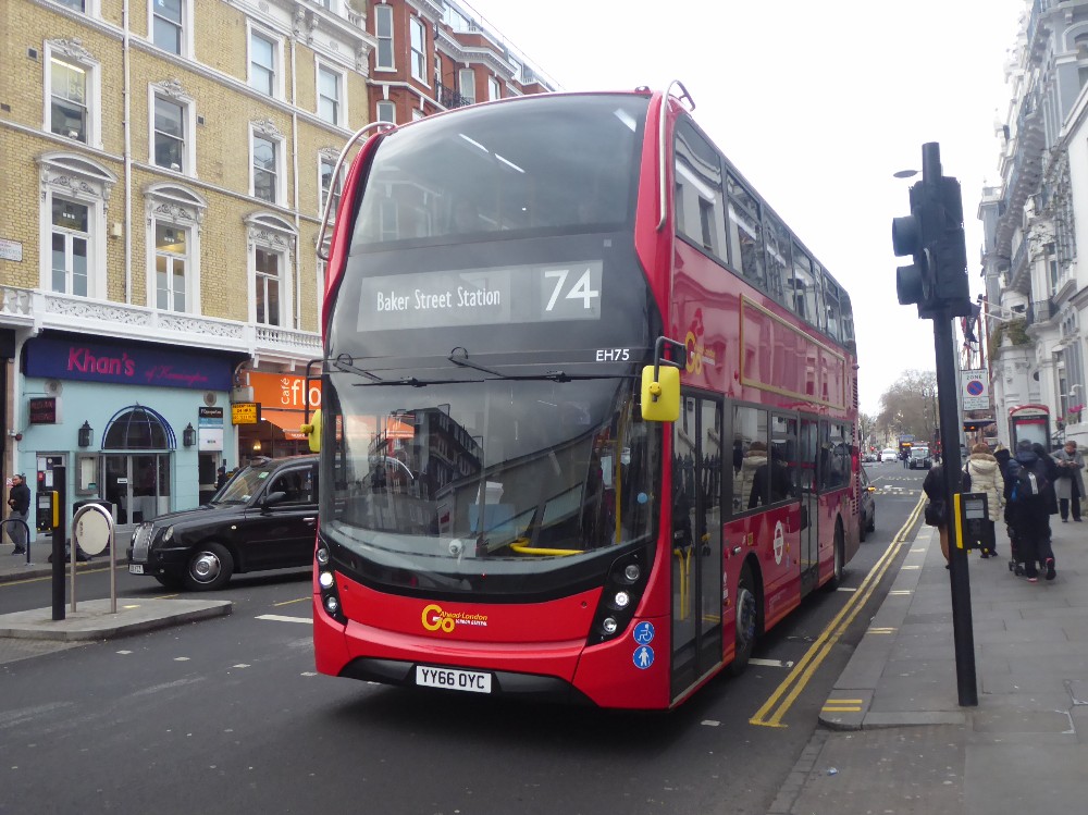 General observations