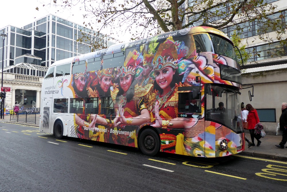 General observations