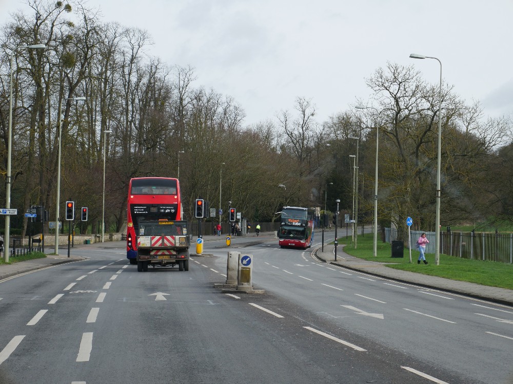 Buses in the landscape