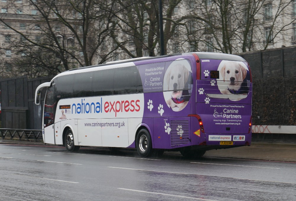 Join your Editor for 5 days in p