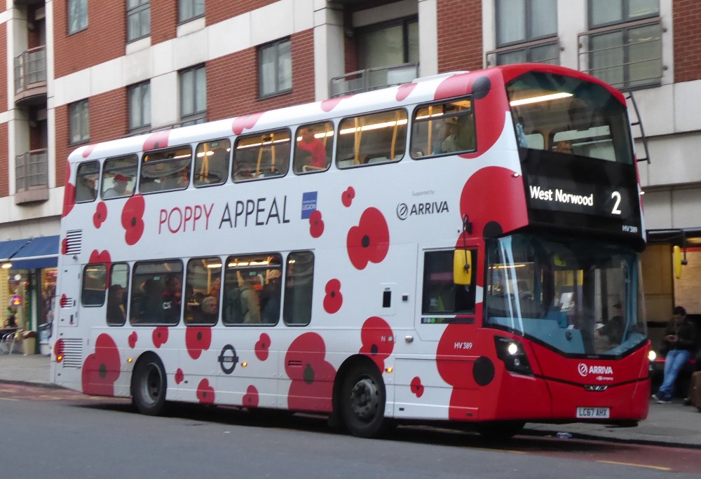 On the 11th hour of the 11th day