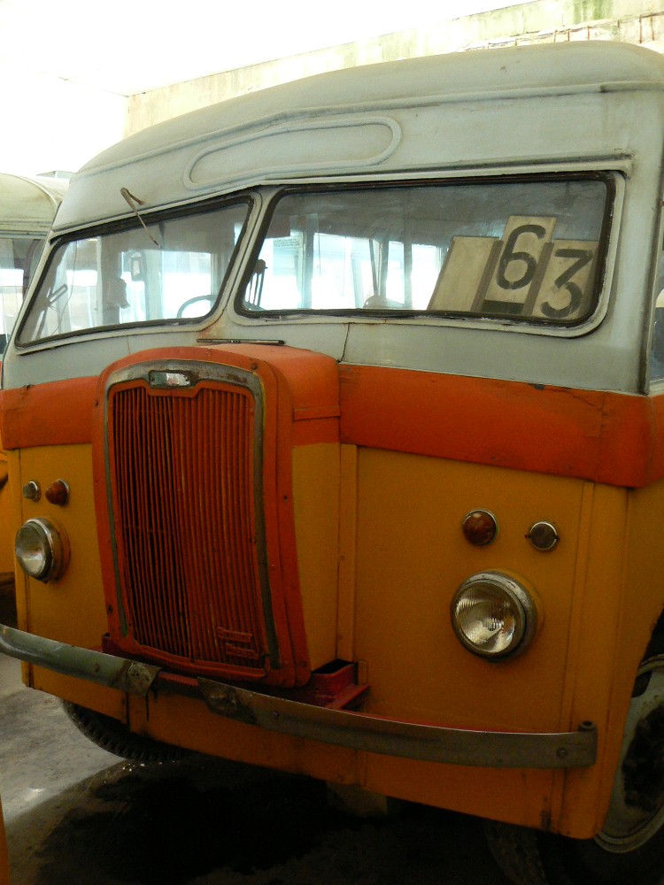 Spottings & Jottings